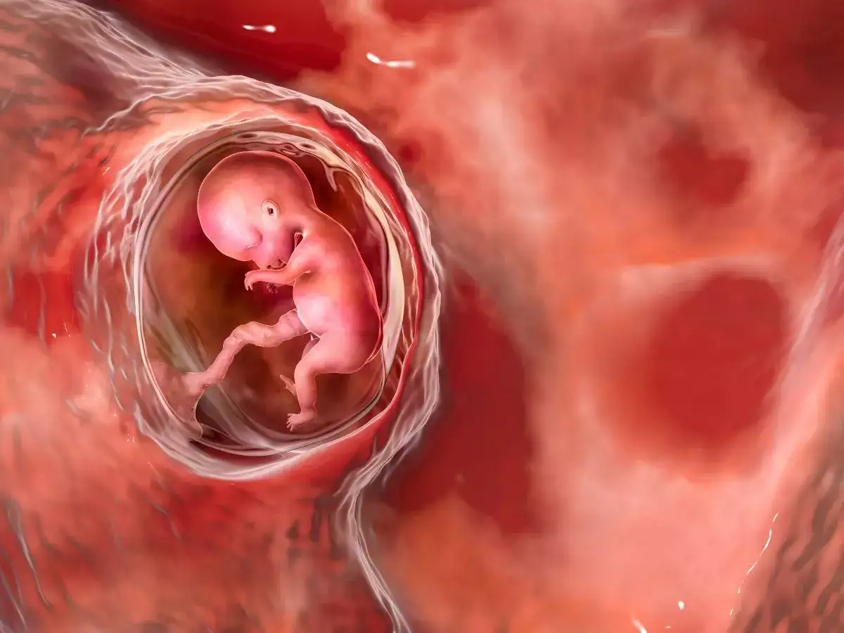 6 Week Pregnancy Symptoms,6 ನೇ ವಾರದ ಗರ್ಭಾವಸ್ಥೆಯಲ್ಲಿ ಭ್ರೂಣವು 8 ಮಿಮೀ ...