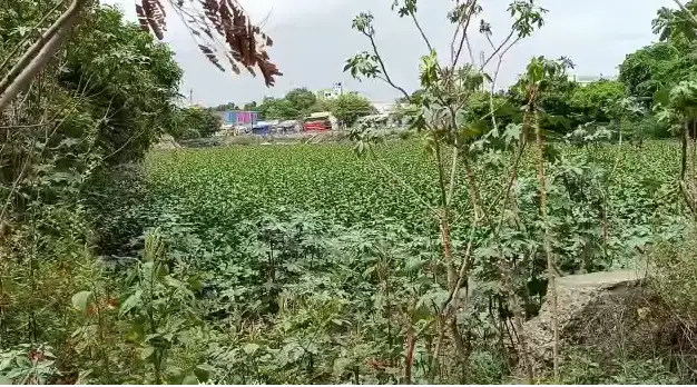 Eswaran Mla,அம்மன் குளத்தில் ‘ஈஸ்வரன்’; ஆச்சரியப்பட்ட கிராம மக்கள் ...