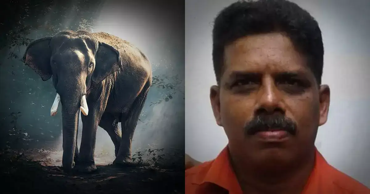 Thulappally Biju Wild Elephant Attack,'ഒരൊറ്റ ചിന്നംവിളി, ചേച്ചീ ഓടിവായോ ബിജുച്ചായനേ ...