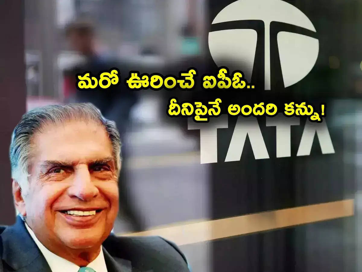 Nikhil Kamath Supports Bluestone Jewelry Plans Rs 2000 Crore IPO - Ratan Tata: ఊరించే ఐపీఓ ...