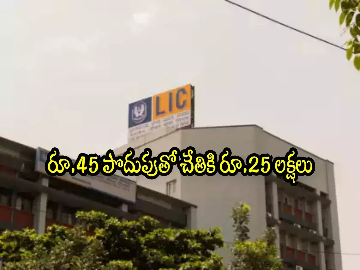 Life Insurance,LIC Jeevan Anand: ఎల్ఐసీ అద్భుత పాలసీ.. రూ.45 పొదుపుతో చేతికి రూ.25 లక్షలు ...