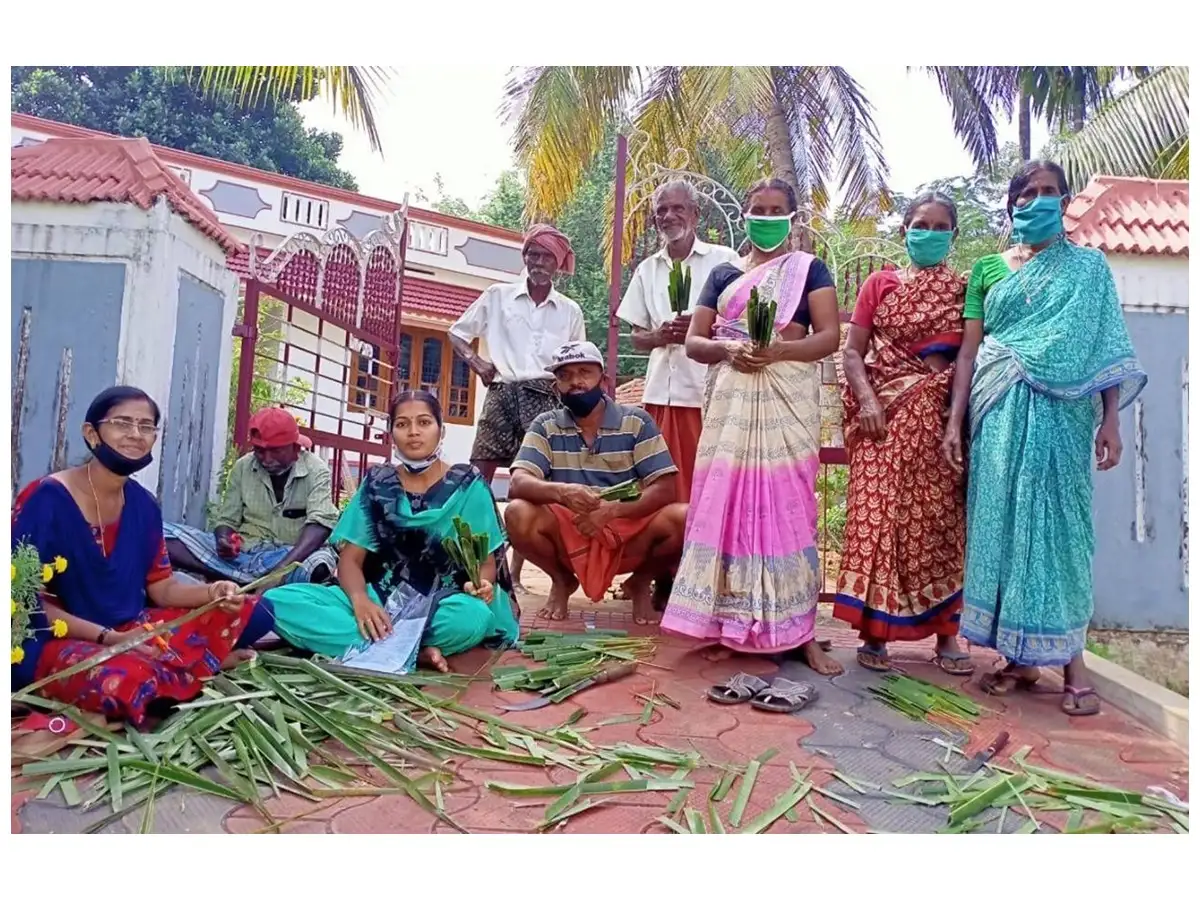 Tricho Card For Pest Control,തണ്ടുതുരപ്പനെയും ഓല ചുരുട്ടിയെയും ...