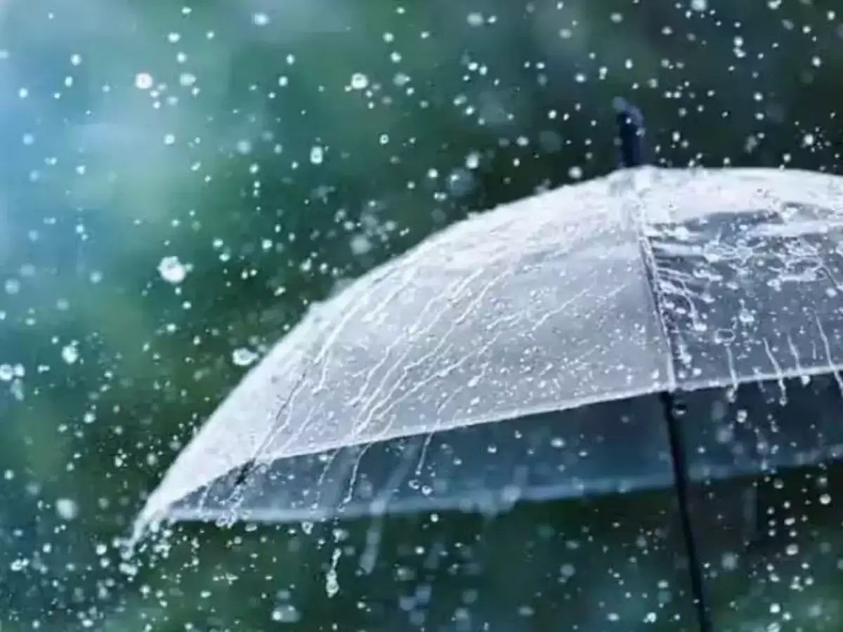 Telangana Rain Forecast,Rain Updates: తెలంగాణలో వర్షాలు.. వాతావరణశాఖ ...