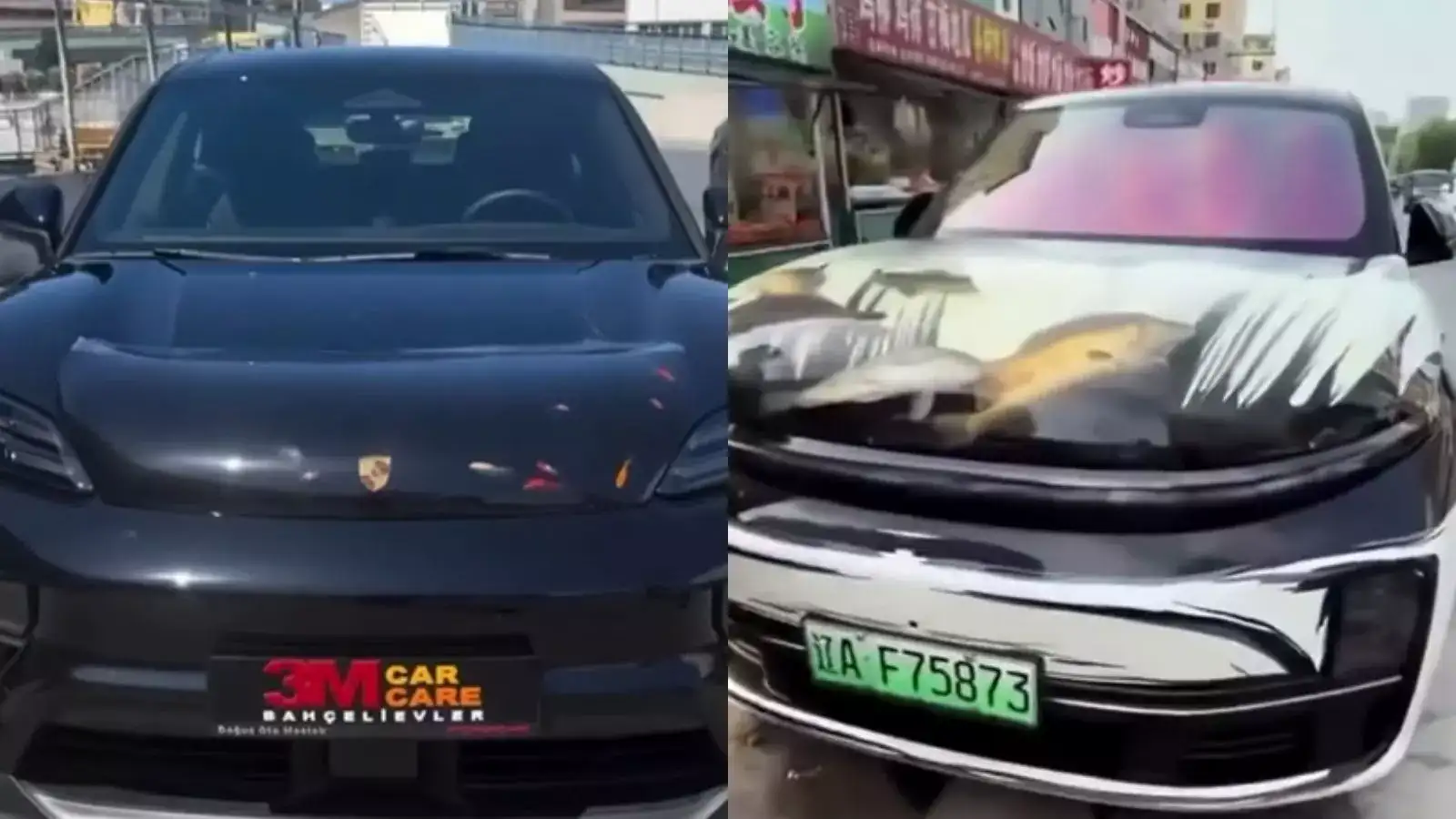 Fish Tank On Car Bonnet,कार के बोनट को बना दिया फिश टैंक, सोशल मीडिया ...