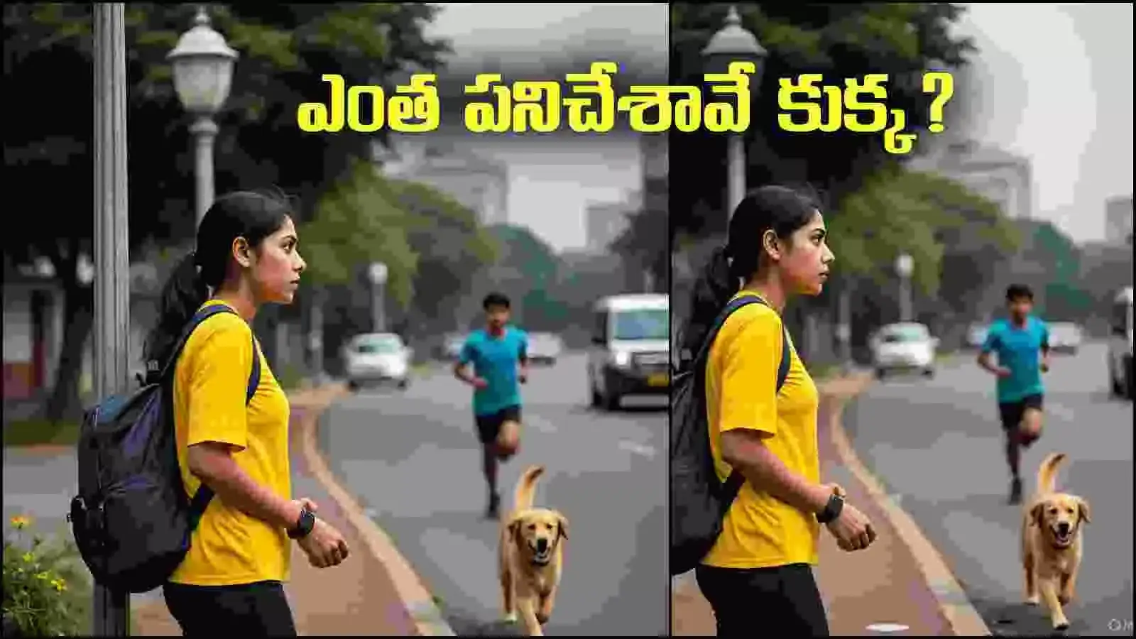 Vijayawada Dog Dispute,యువతీ, యువకుడి మధ్య గొడవ పెట్టిన కుక్క.. రెండు ...