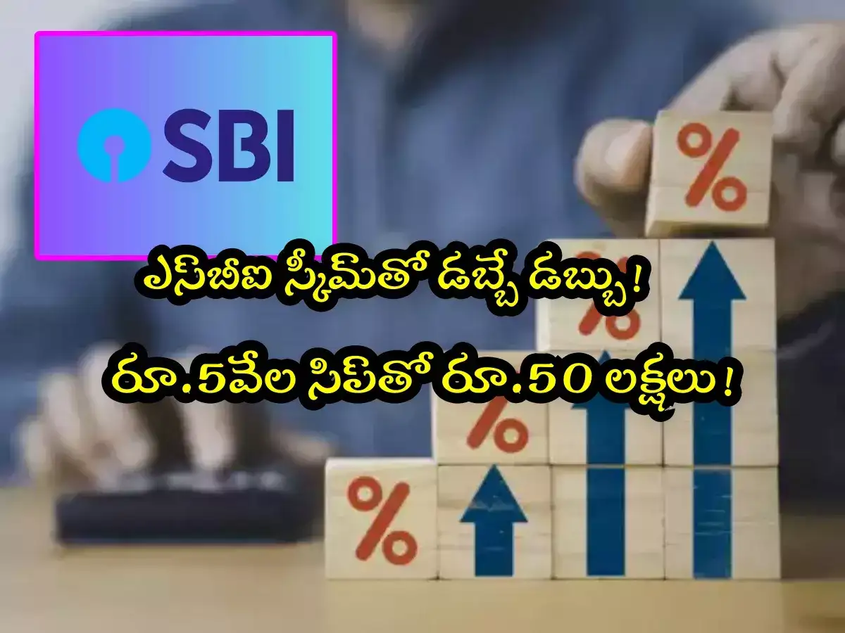 Sbi Small Cap Fund,SIP: ఎస్‌బీఐ స్కీమ్‌తో పంట పండింది.. రూ.5 వేల సిప్ ...