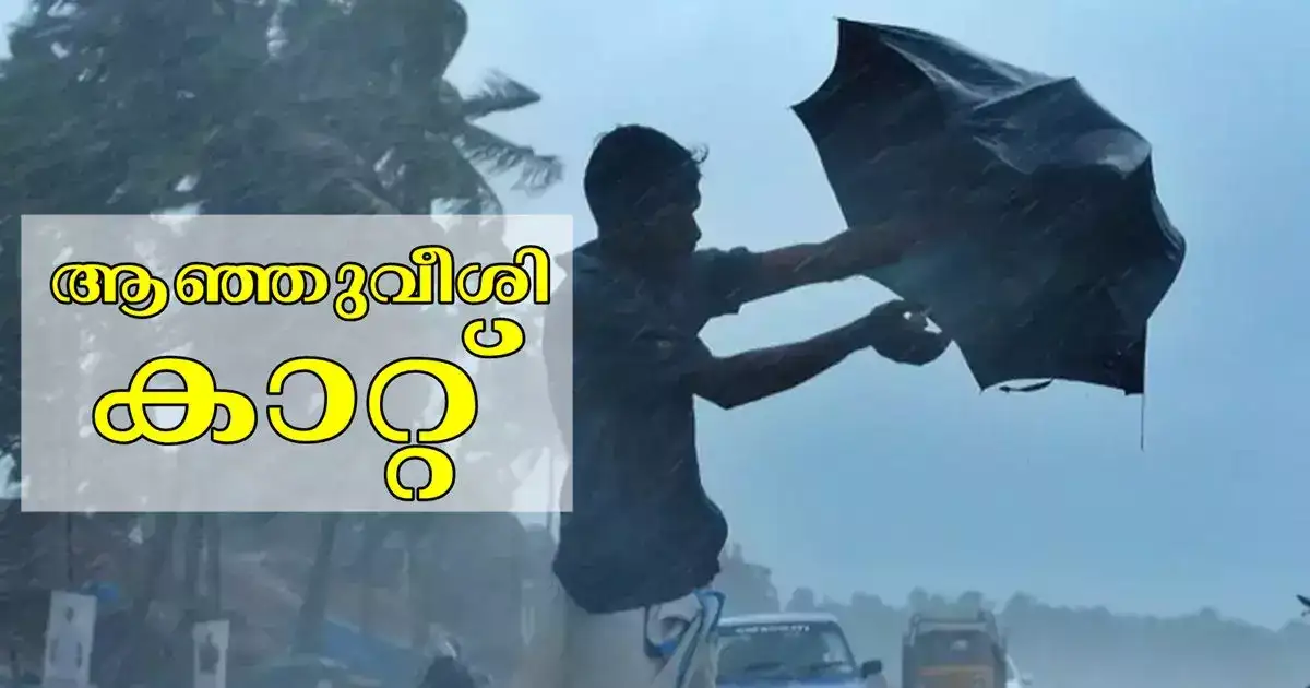 Strong Wind In Kerala,ആഞ്ഞുവീശിയത് അസാധാരണ കാറ്റ്, പലയിടത്തും നാശനഷ്ടം ...