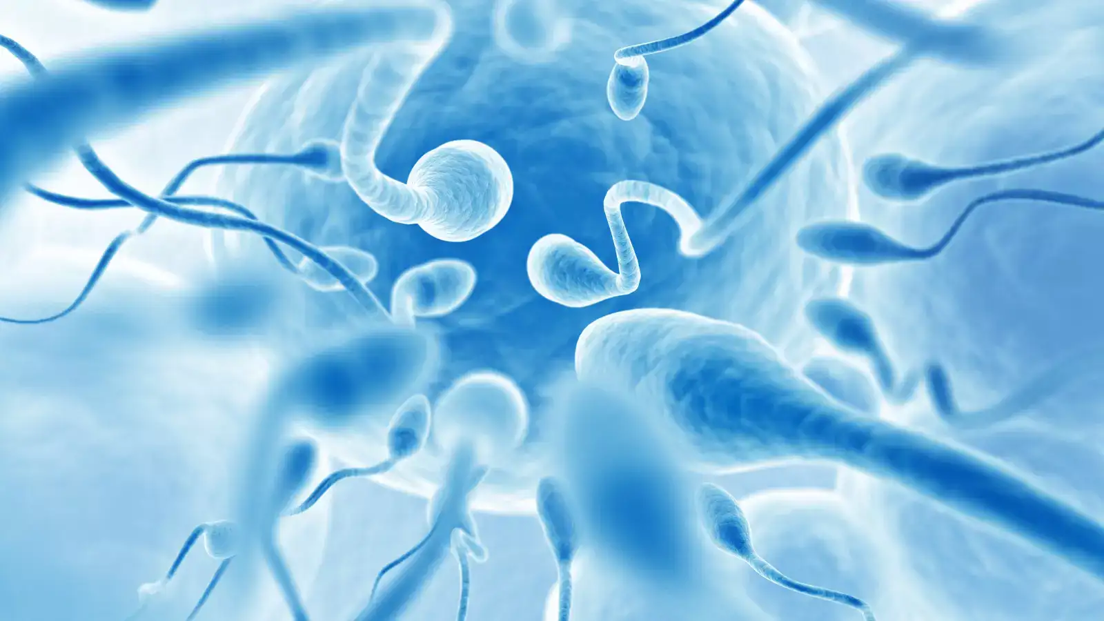 IMSI Treatment in IVF: How It Helps Select the Best Sperm
