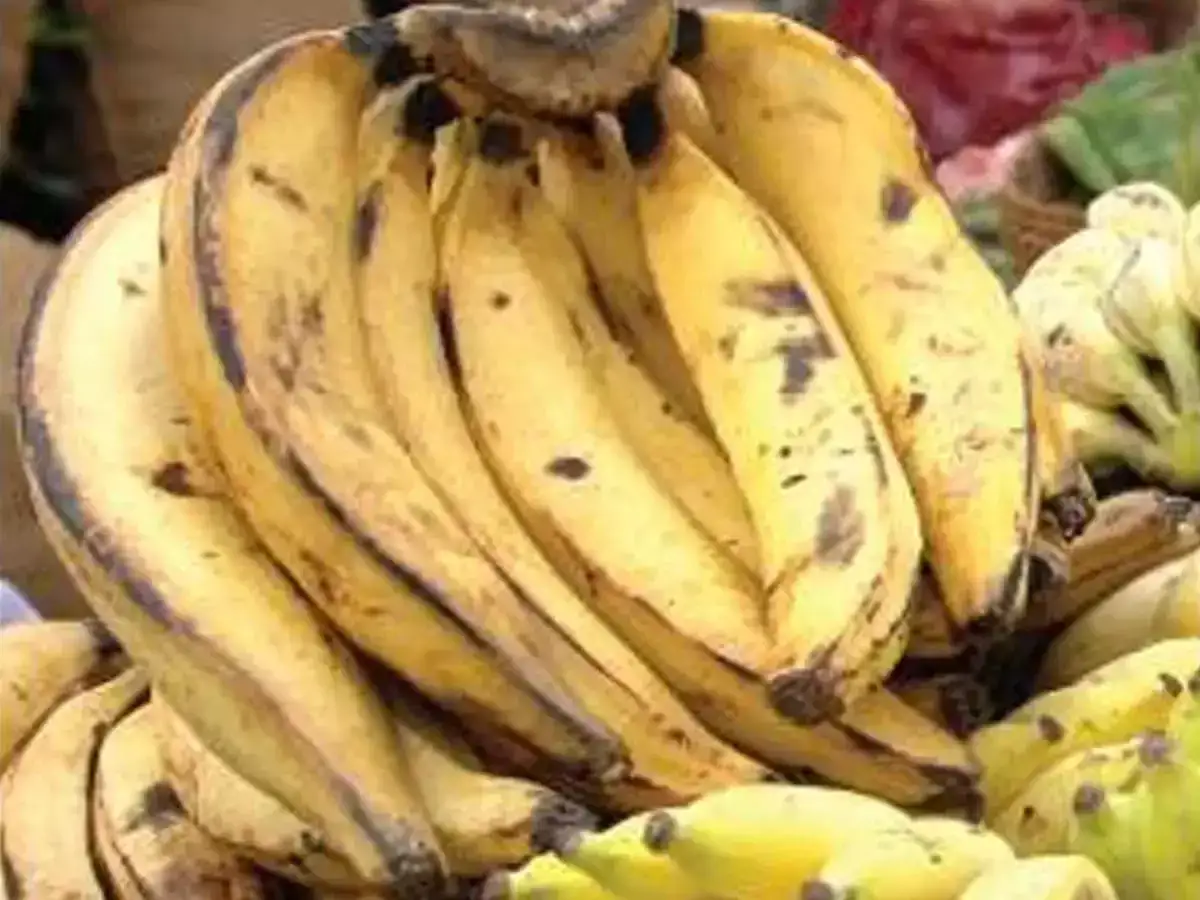 How To Eat Kerala Banana,Kerala Banana:ഏത്തപ്പഴം ദിവസവും ഇങ്ങനെ ...