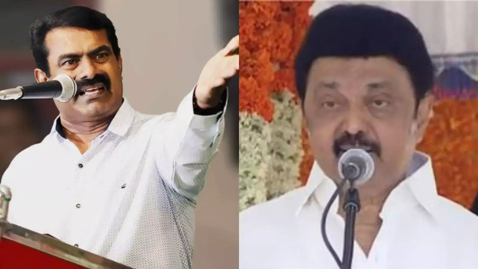Seeman Criticize for CM MK Stalin's Appa App: ஸ்டாலின் அப்பான்னு தனக்குத் தானே லேபிள் ...
