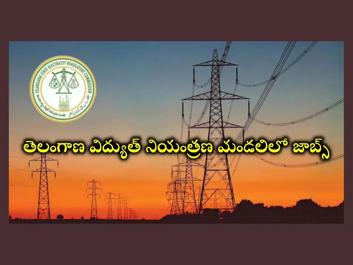 TSERC Notification 2024 Telangana State Electricity Regulatory ...