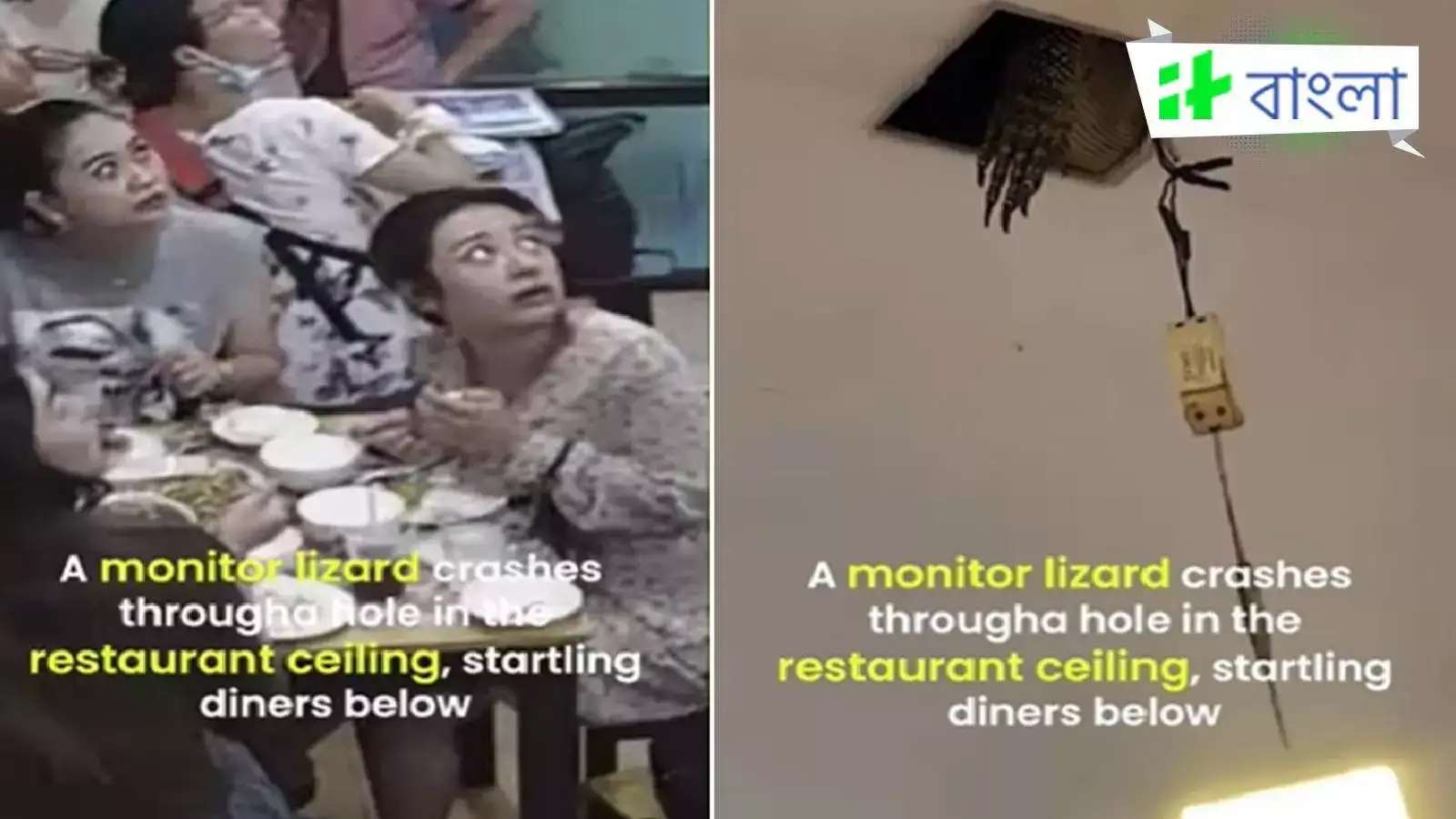 হঠাৎ সশব্দে ভেঙে পড়ল রেস্তোরাঁর সিলিং! কিন্তু গর্ত থেকে ও কে উঁকি দিল ...