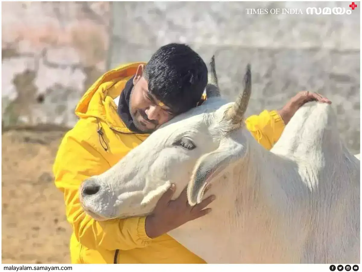 ഹരിയാനയിലെ ഗോരക്ഷകരുടെ 'നായകൻ': മോനു മനെസറിനെ പരിചയപ്പെടാം - monu manesar bajrang dal gou ...