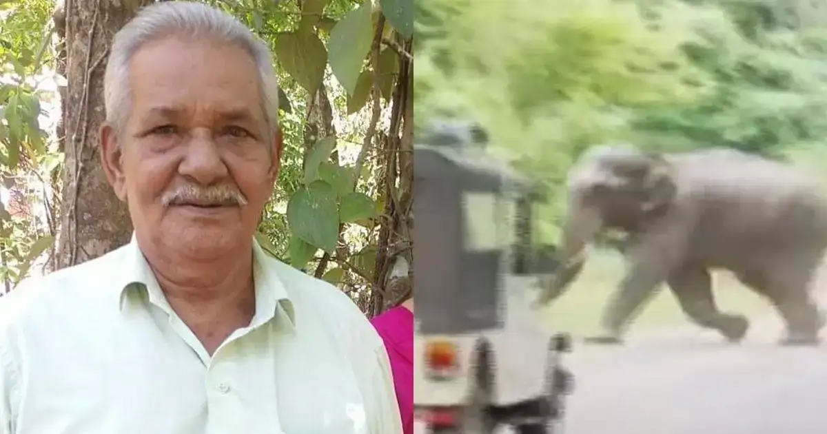 Dead Body Found in Ulikkal: കാട്ടാന ഓടിയ വഴിയിൽ മൃതദേഹം; ജോസിൻ്റെ ...