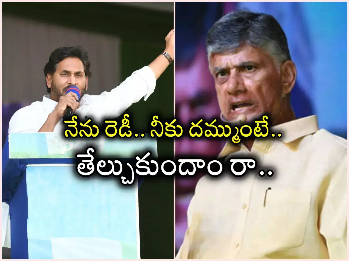 TDP Chandrababu Naidu Counter to YS Jagan Criticism in Rapthadu Siddham ...