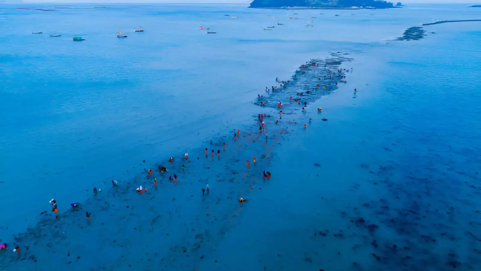 In South Korea The Sea Opens Twice A Year For Just 1 Hour,ऐसा देश जहां ...