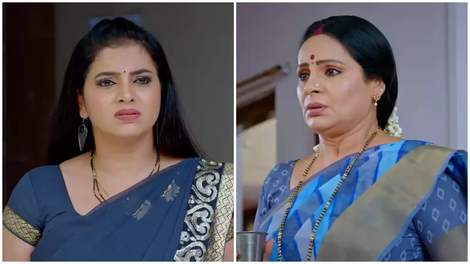 Ramachari Today Episode,Ramachari Serial: ಜಾನಕಿಯಿಂದ ಸತ್ಯದರ್ಶನ ಆಯ್ತು ...