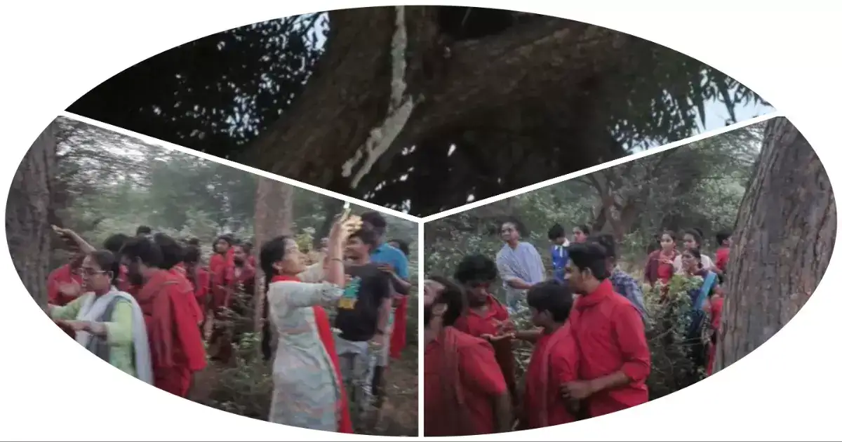 Neem Tree Oozing Milk In Visakhapatnam,విశాఖలో వింత ఘటన: వేప చెట్టుకు ...