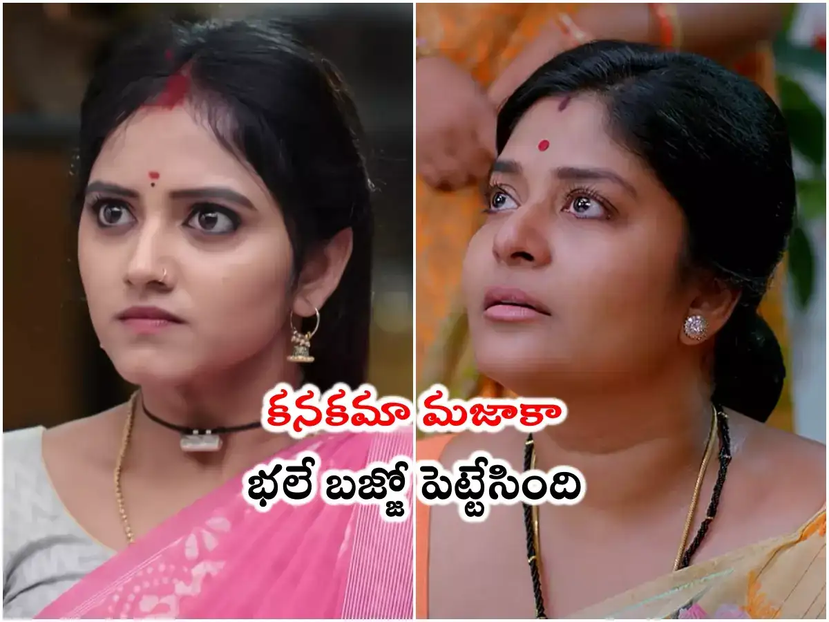 Brahmamudi Kanakam: బుసలు కొట్టే పంచమిని ఇట్టే బజ్జో పెట్టేసిన ...