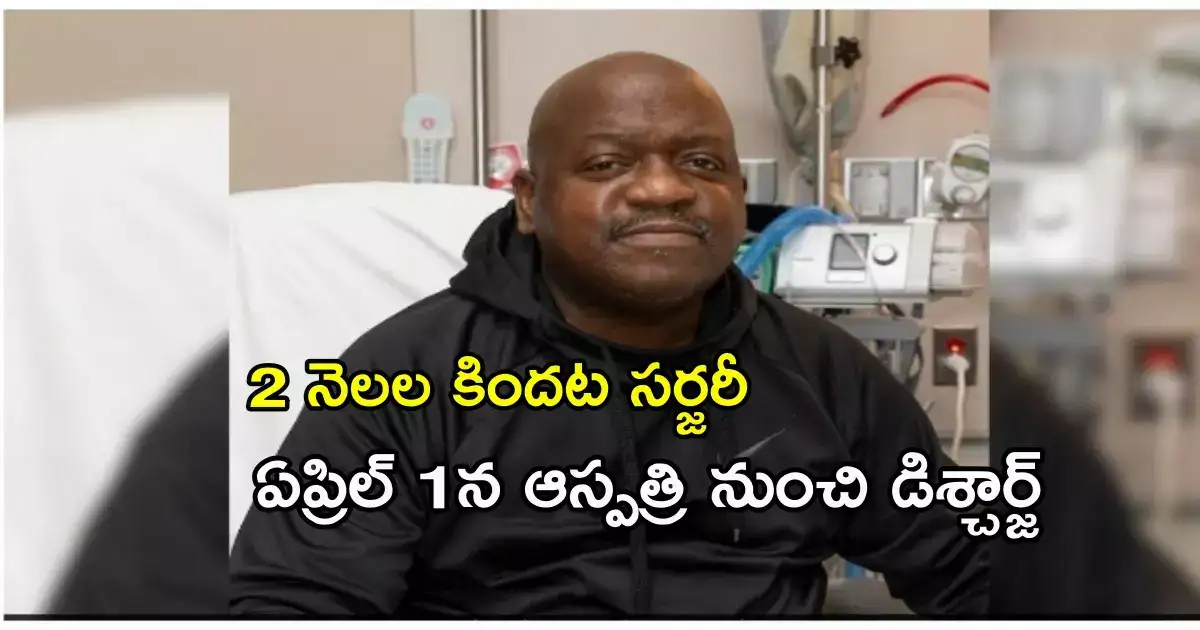 Pig Kidney Transplant,మనిషికి పంది కిడ్నీ అమరిక.. అంతలోనే ఊహించని ...