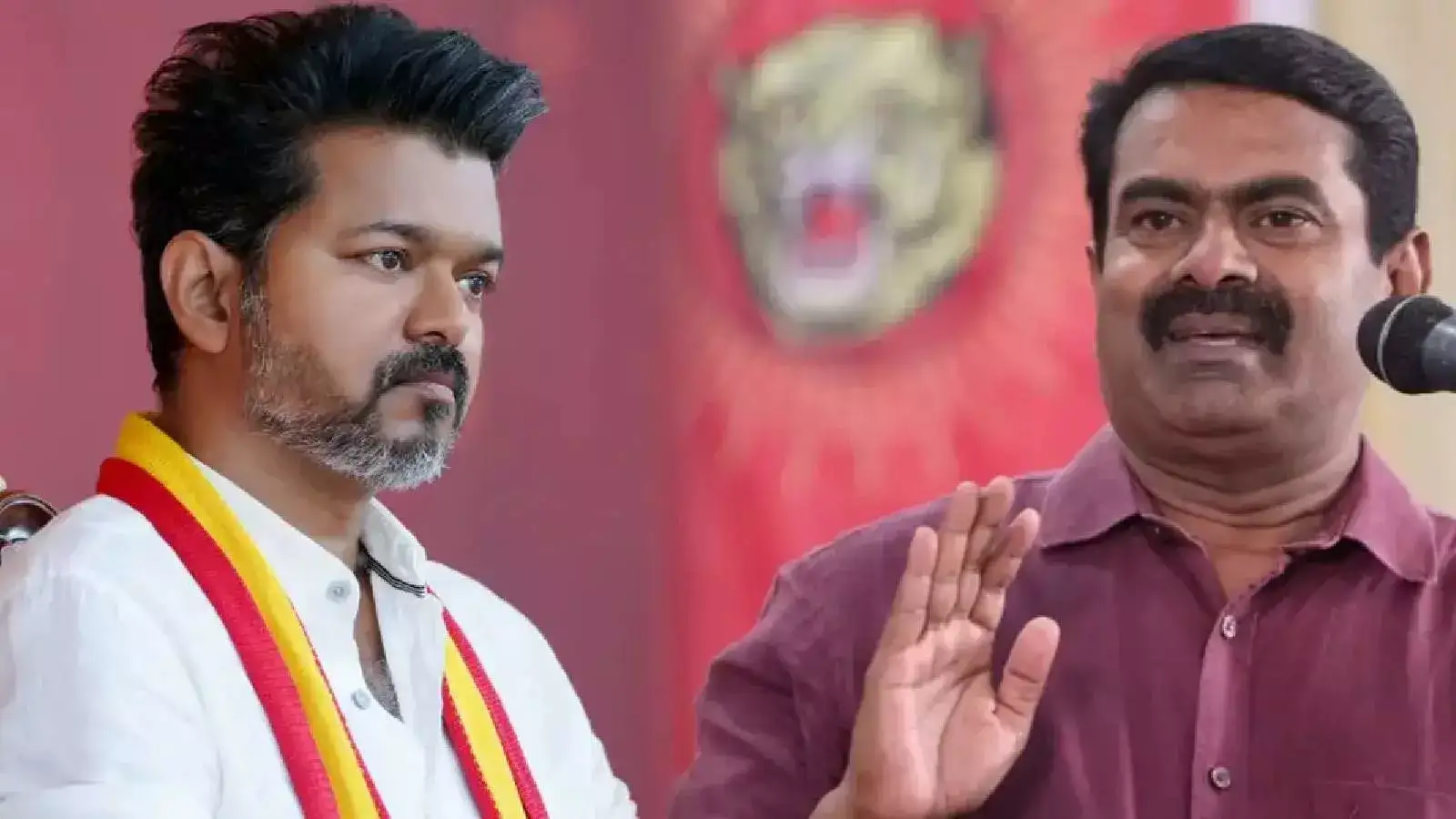 EXCLUSIVE: seeman vs vijay... விஜய் பனையூரை விட்டு வெளியே வர வேண்டும் ...