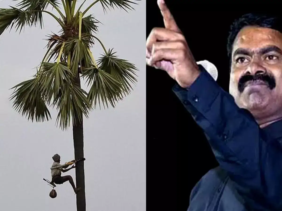 Seeman,விழுப்புரம் பனை தொழிலாளர்கள் கள்ளச்சாராயம் வழக்கில் கைது; சீமான் ...