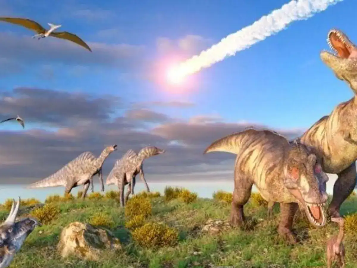 Great Dying Extinction Causes: Great Dying Extinction 25 Crore Years ...