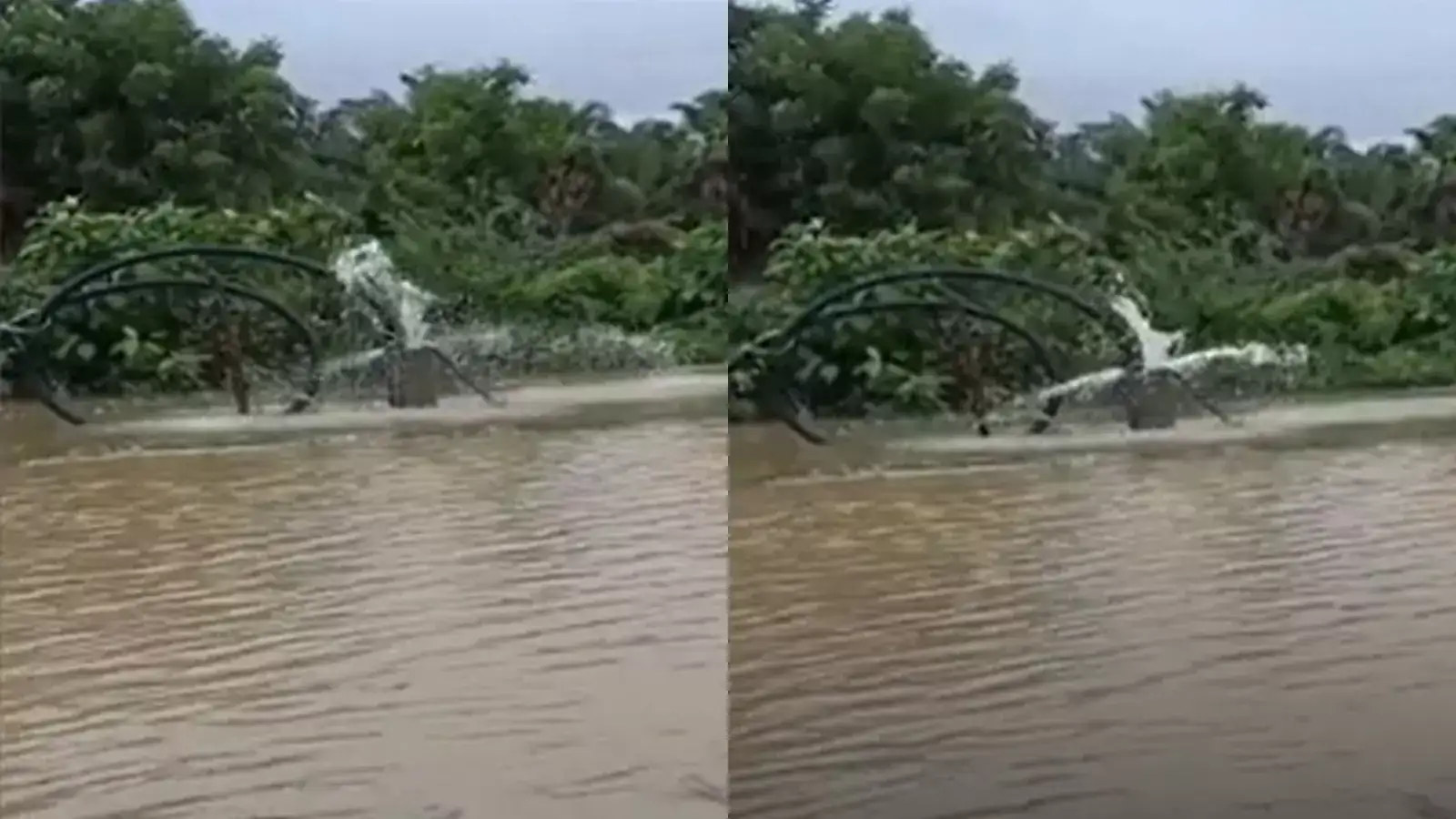 Eluru Water Overflow From Borewell,ఏలూరు: మోటార్ ఆన్ చేయకుండానే బోర్ ...