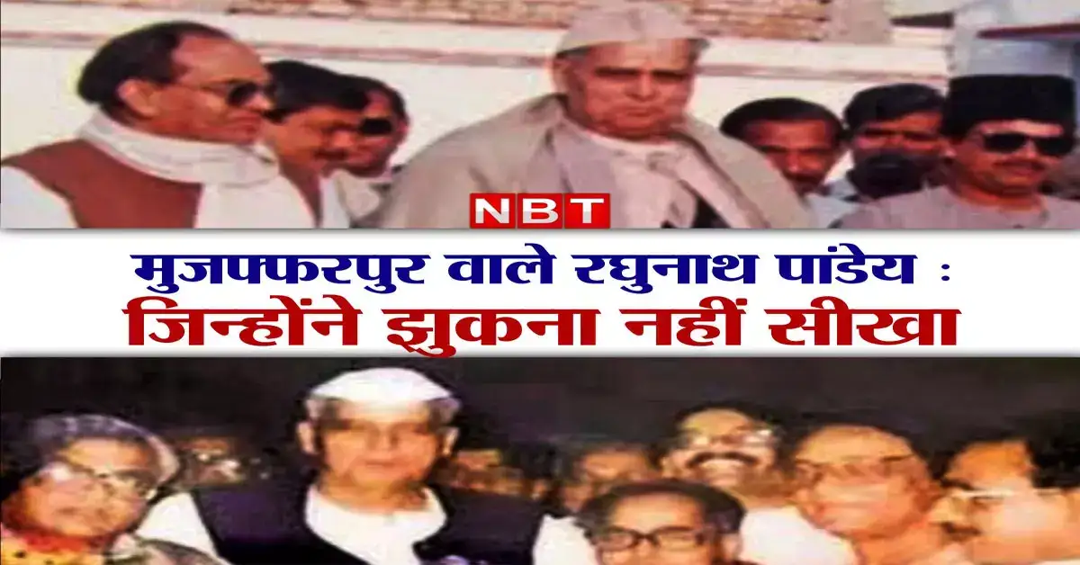 Raghunath Pandey,रघुनाथ पांडेय : वो शख्सियत जिसने बताया आर्थिक क्रांति ...