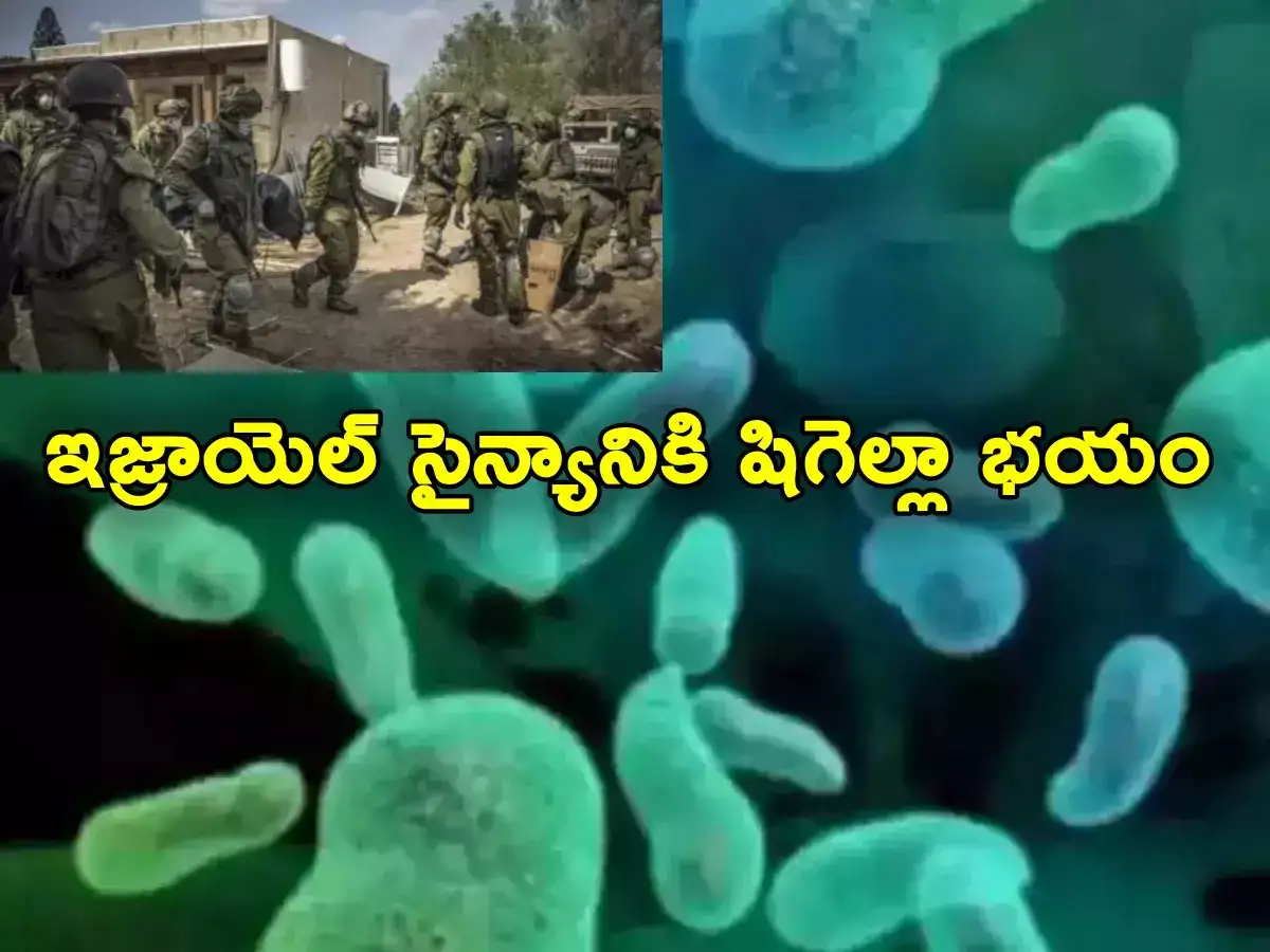 Israel Soldiers Gaza Shigella Bacteria Diagnosis, causes, treatment ...