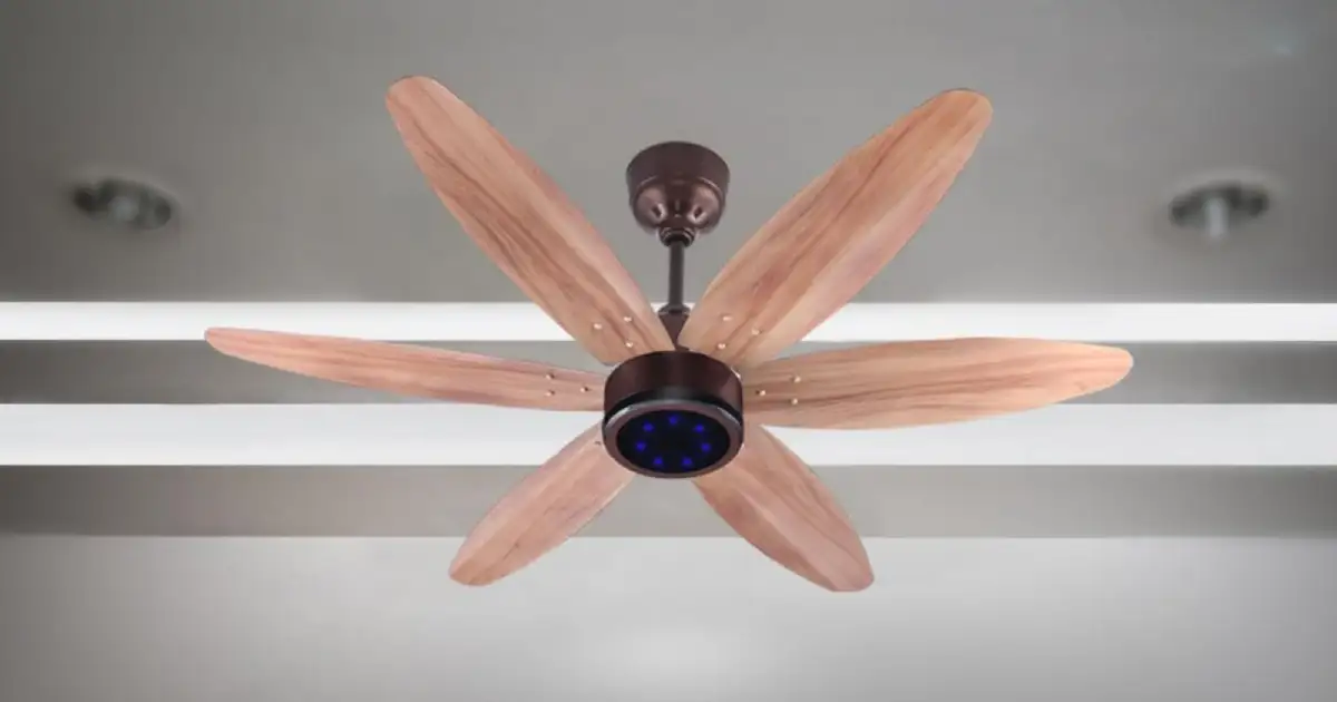 Fancy Ceiling Fans,Fan On Amazon: इन Fancy Ceiling Fans से घर का करें ...