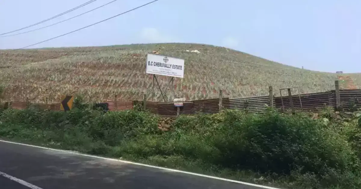 Sabarimala Greenfield Airport,പറന്നിറങ്ങും വികസനം; ശബരിമല ഗ്രീൻഫീൽഡ് ...