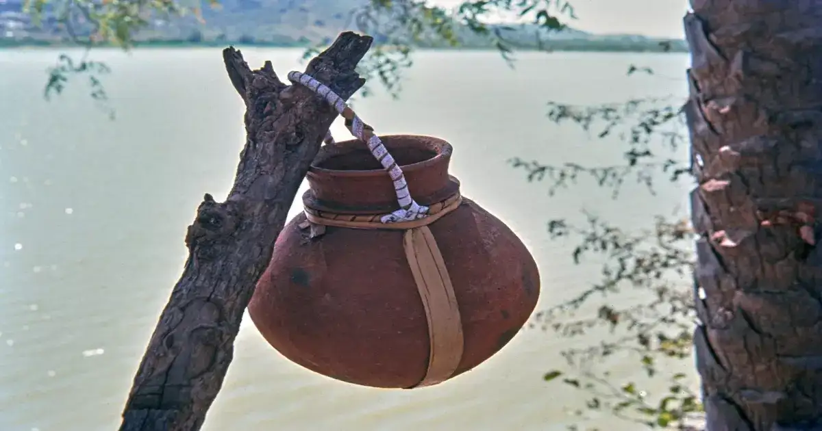 Neera Health Benefits: పోషకాల పవర్‌ హౌస్‌ నీరా.. ఇది తాగితే ఈ ...