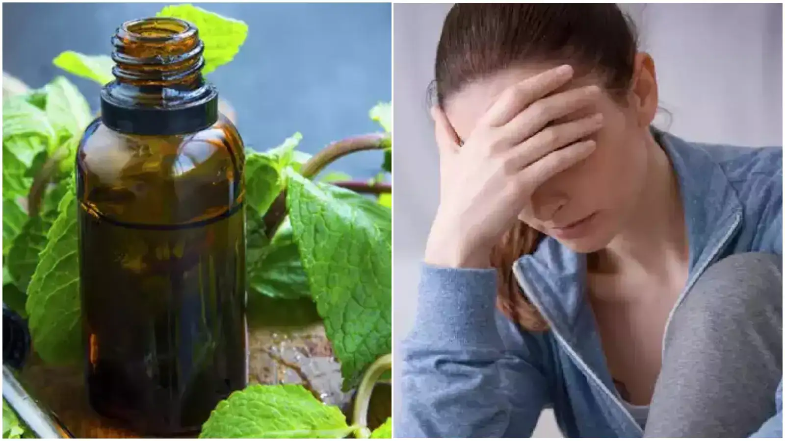 Mint Oil For Migraine,ಪುದೀನಾ ಎಣ್ಣೆ ಈ ರೀತಿ ಹಚ್ಚಿಕೊಂಡ್ರೆ ಮೈಗ್ರೇನ್ ತಲೆನೋವು ...