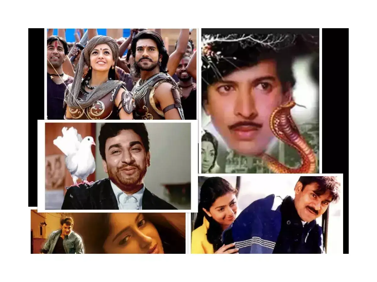 Naagarahaavu,South Indian Hit Movie List: ಮರು ಬಿಡುಗಡೆಯಾದ ಸೂಪರ್ ಹಿಟ್ ...