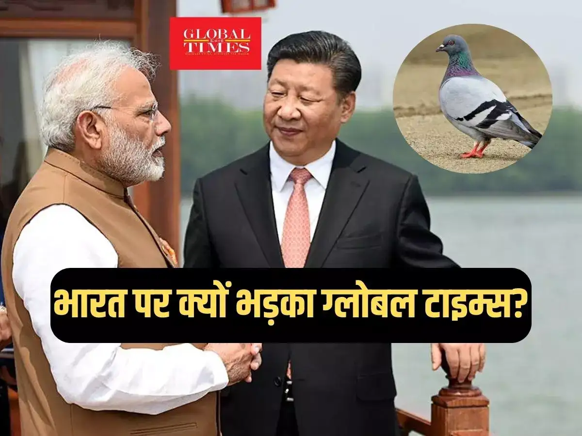 Chinese Spy Pigeon: चीन ने भारत में चीनी जासूसी कबूतर की गिरफ्तारी और ...