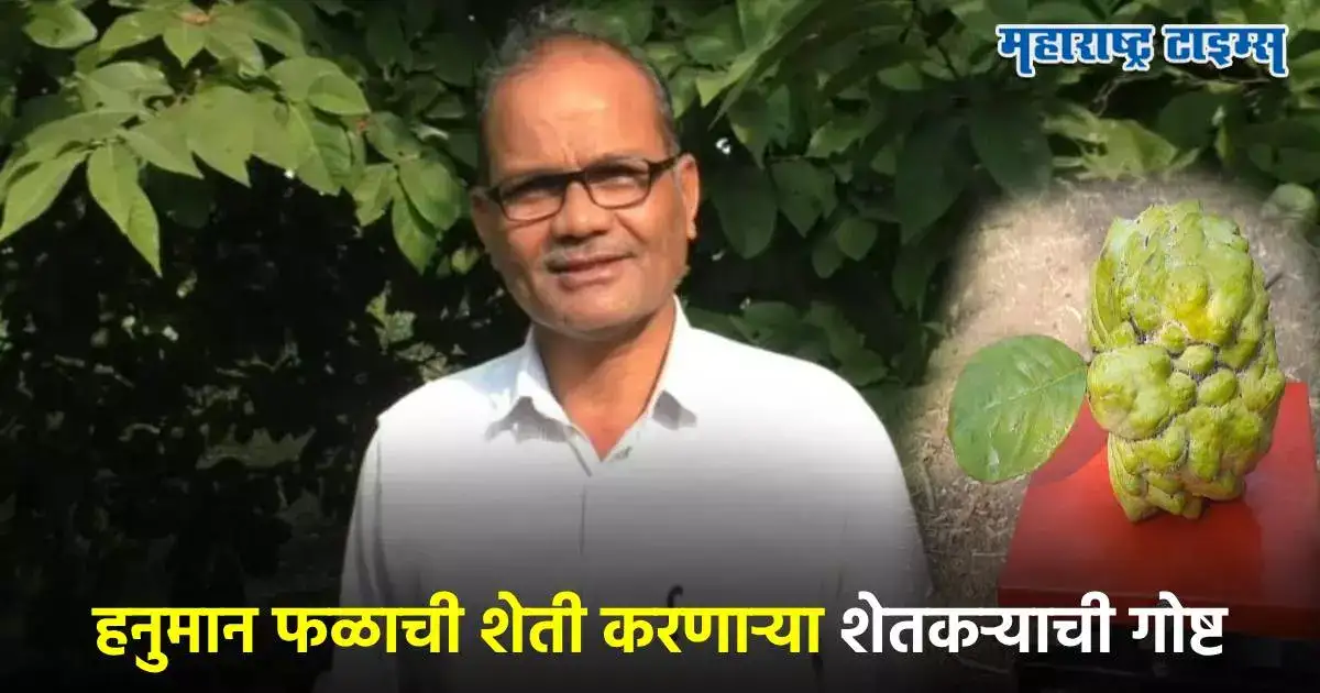 Washim Farmer Vitthalrao Barde successful in Hanuman Fruit farming; ना ...