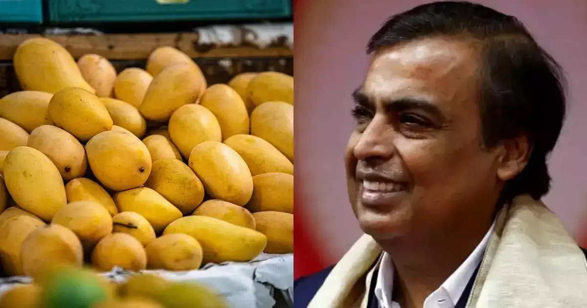 Reliance Mango Export,മാമ്പഴ കയറ്റുമതിയിലും അംബാനിയെ വെല്ലാൻ ആരുമില്ല ...