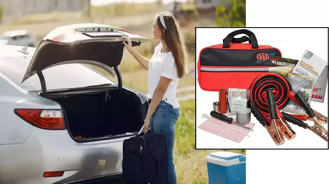 Car Emergency Kit : कारमध्ये नेहमी ठेवा या ५ गरजेच्या वस्तू, अडचणीच्या ...