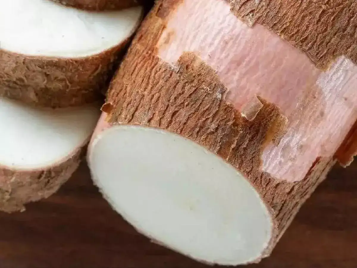 Maravalli Kilangu : பிபி.. சுகர் இருக்கிறவங்க மரவள்ளிக்கிழங்கு ...