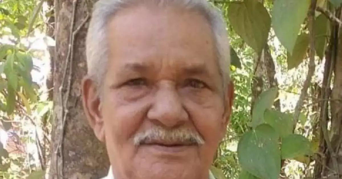 Ulikkal Wild Elephant Attack: ആന്തരികാവയവങ്ങളെല്ലാം പുറത്തുവന്നു, കൈകള് ...