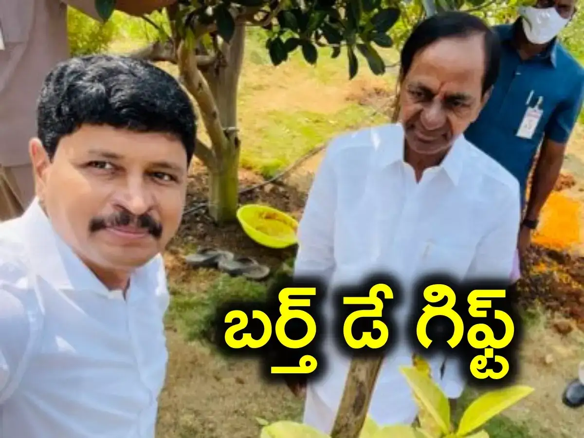 Santhosh Kumar Birthday Gift To KCR,కేసీఆర్‌కు ఎంపీ సంతోష్ కుమార్ బర్త్‌డే గిఫ్ట్.. వెయ్యి ఎకరాల ...