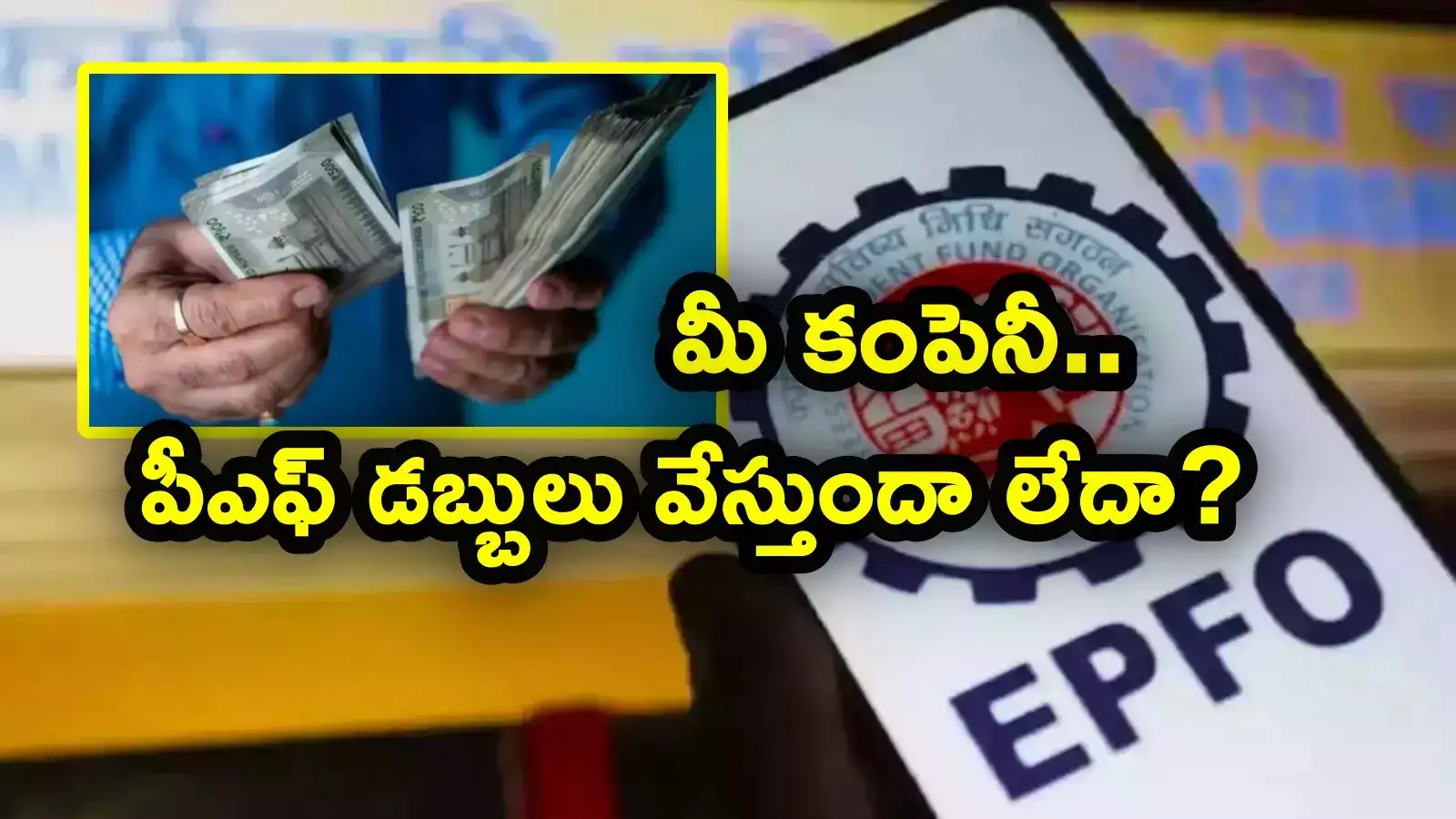 Epf Faq,మీ పీఎఫ్ అకౌంట్లో ప్రతినెలా డబ్బులు పడుతున్నాయా.. లేదా.. ఎలా తెలుసుకోవాలి? ఏం చేయాలి ...