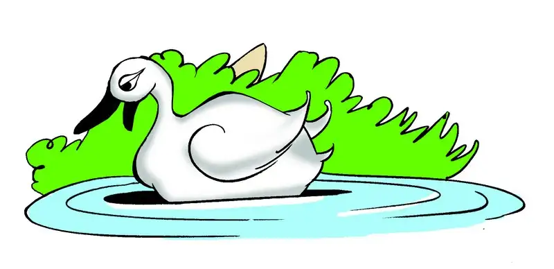 Saala Kotta Bathukoli,ಮಕ್ಕಳ ಕಥೆ: ಸಾಲ ಕೊಟ್ಟ ಬಾತುಕೋಳಿ - kids story about ...
