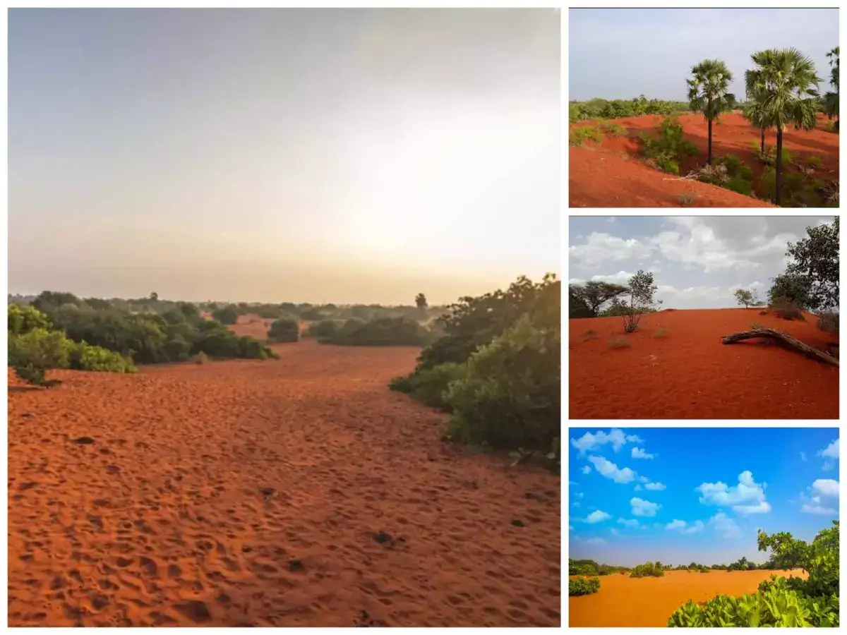 Tamil nadu Thoothukudi Theri Kadu red desert : தமிழகத்தின் பாலைவனம் ...
