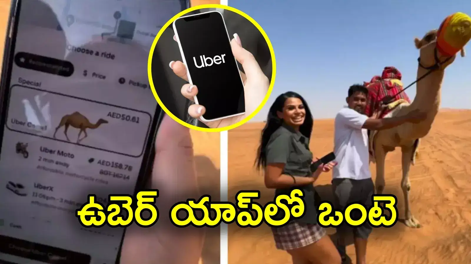 Woman Orders Camel Via Uber App In Dubai Desert,Uber: ఉబెర్‌ యాప్‌లో ఒంటెను కూడా బుక్ ...