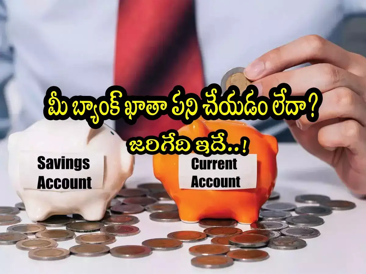 Inactive Bank Account,Bank Account: మీ బ్యాంక్ అకౌంట్ ఇన్‌యాక్టివ్ అయితే జరిగేది ఇదే.. ఏం ...
