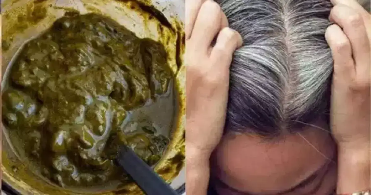 Natural Hair Dyeകളറും ഡൈയുമില്ലാതെ രണ്ടു പൊടിയില്‍ മുടി കറുപ്പിയ്ക്കാം 3916