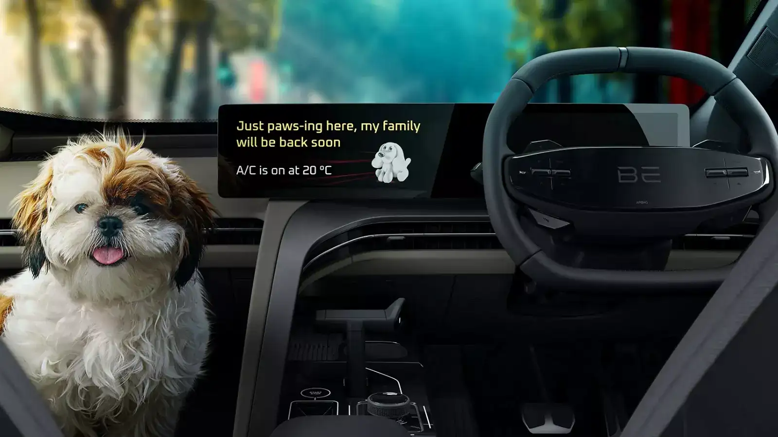 can we get be 6 without the halo loop around the drivers seat: 'BE 6 ...