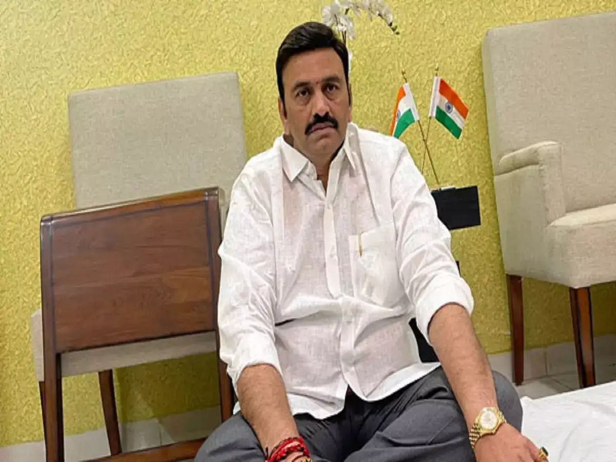 Raghu Rama Krishnam Raju,గన్నవరం నుంచి టీడీపీ నుంచి పట్టాభి పోటీ.. ఎంపీ ...